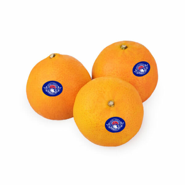 فاكهة الشربتلي - الرائدة في المنتجات الطازجة منذ الثلاثينيات