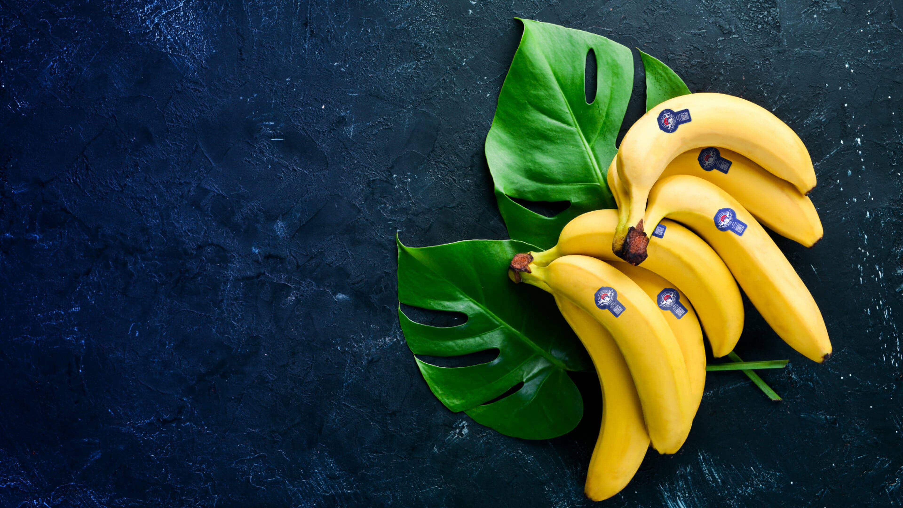 Sharbatly Fruit - Fresh Produce Leader Since 1930s